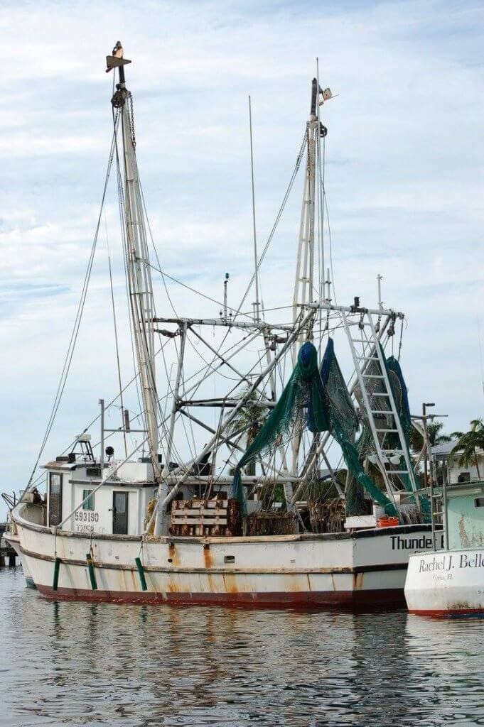 Celebrating Cortez's Iconic A.P. Bell Fish Co. | Bradenton Gulf Islands