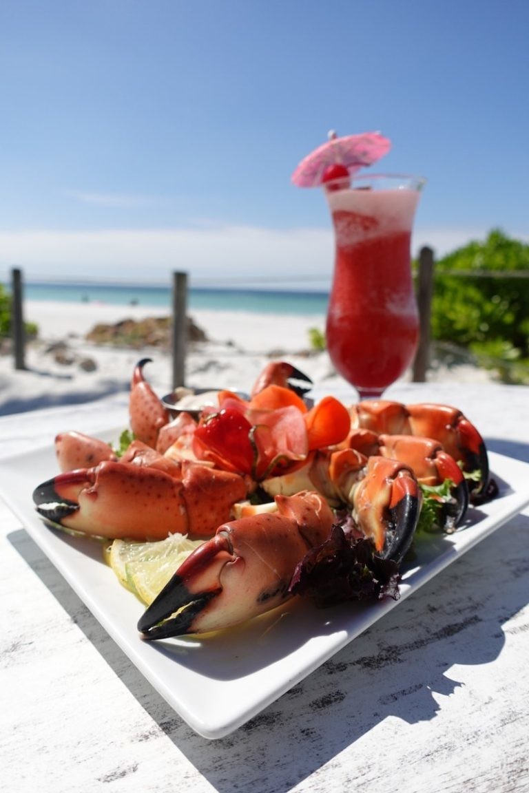 Dining Along the Manatee River in Bradenton Area