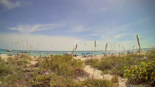 Current Beach Conditions