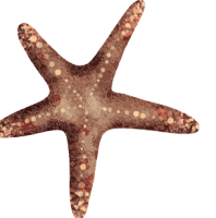 Easier Trips To and From Bradenton to Anna Maria Island